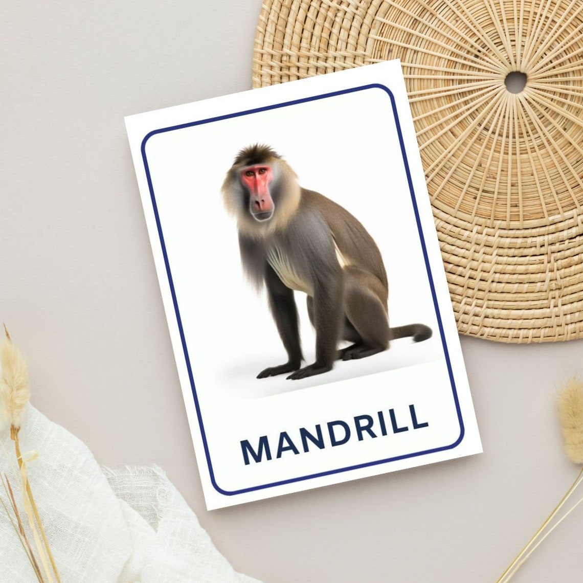 Engaging 32 African Animal Flashcards for Kids, Montessori Inspired ...