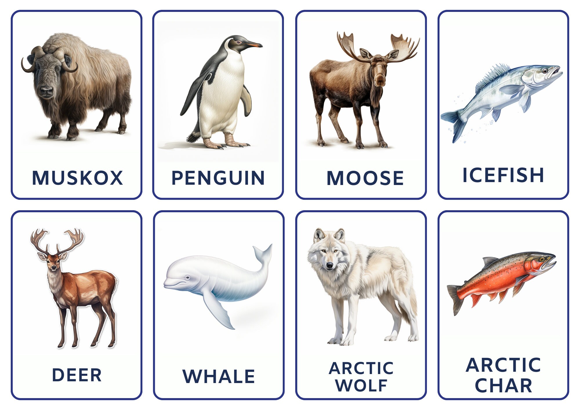 Flashcard Bundle of Winter Nature Bundle Includes Winter Vegetables ...