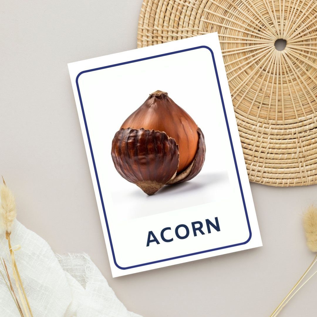 NUTS (real Pictures) 32 Editable Montessori Cards, Flash Cards ...