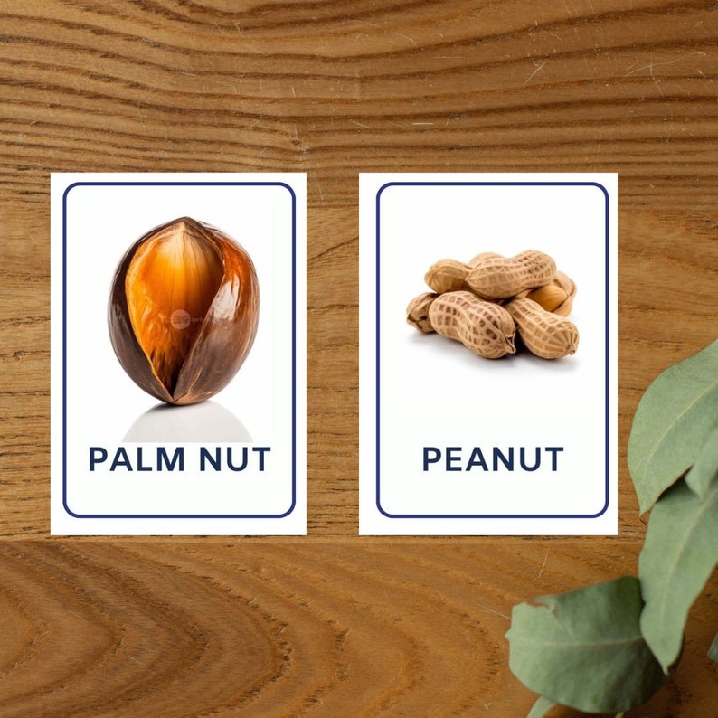 NUTS (real Pictures) 32 Editable Montessori Cards, Flash Cards ...