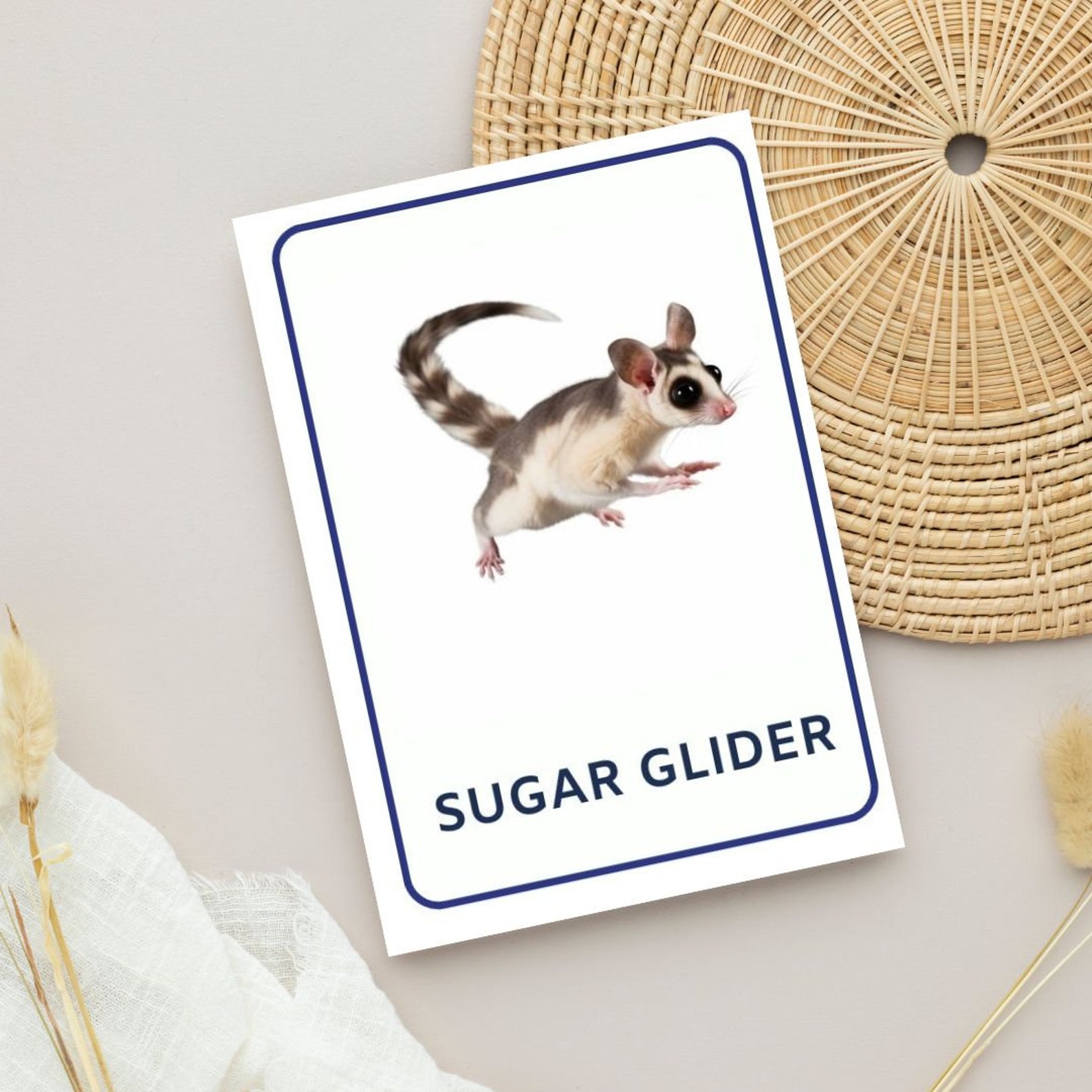 Explore 32 Australian Animals Flashcards for Kids, Printable ...