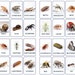 32 Insects Flash Cards, Montessori Flash Cards, Preschool Activity ...