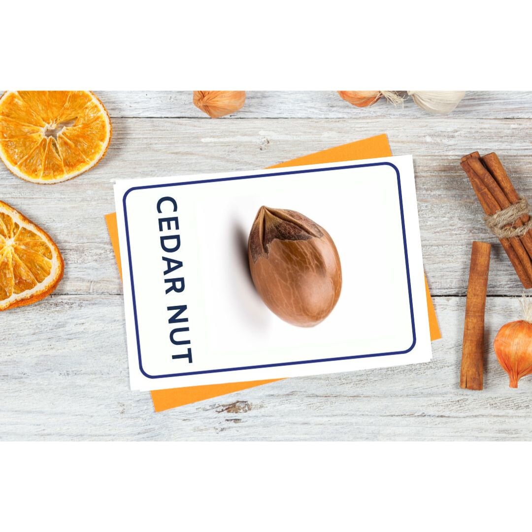 NUTS (real Pictures) 32 Editable Montessori Cards, Flash Cards ...