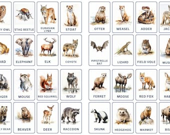 32 Forest Animals Flashcards, Kids Printable, Nomenclature Cards ...
