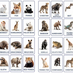 Flashcard Bundle of Animals of the World Bundle Includes Wild Animals ...