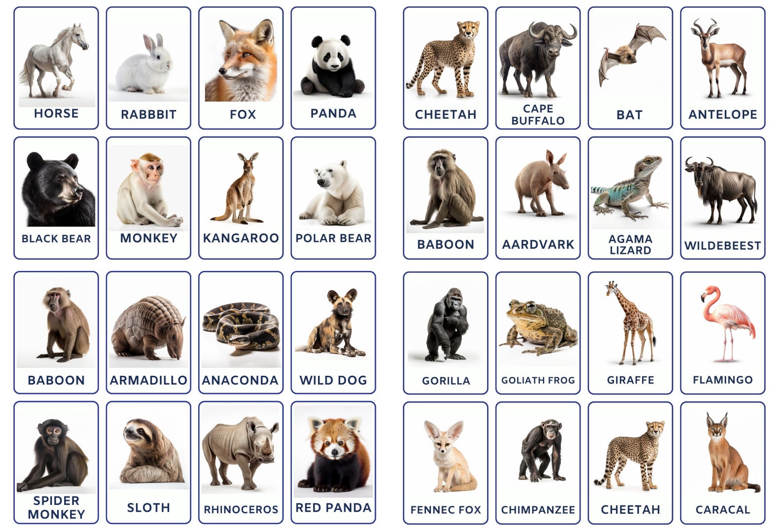Flashcard Bundle of Animals of the World Bundle Includes Wild Animals ...