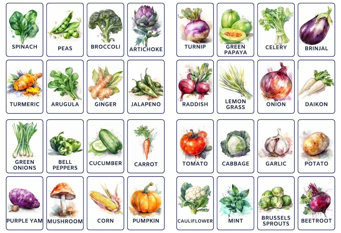 32 Vegetables Flashcards, Image Cards for Kids, Preschool, Nomenclature ...