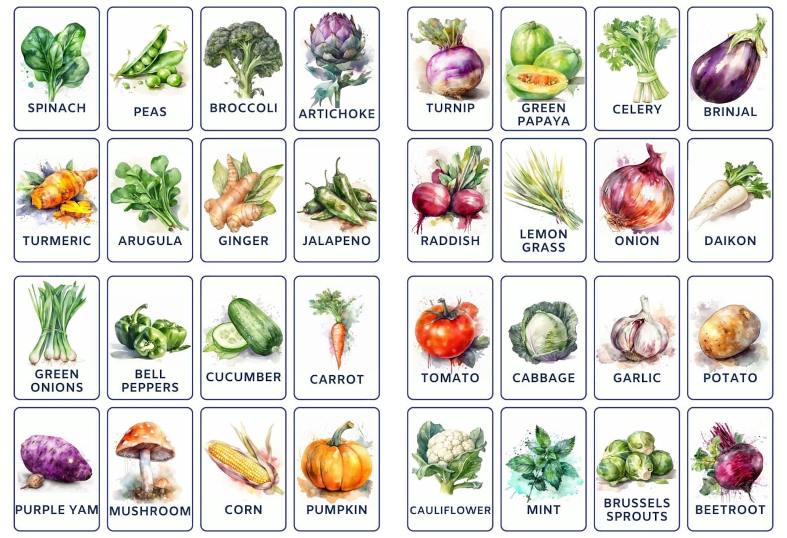 32 Vegetables Flashcards, Image Cards for Kids, Preschool, Nomenclature ...
