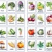 32 Vegetables Flashcards, Image Cards for Kids, Preschool, Nomenclature ...
