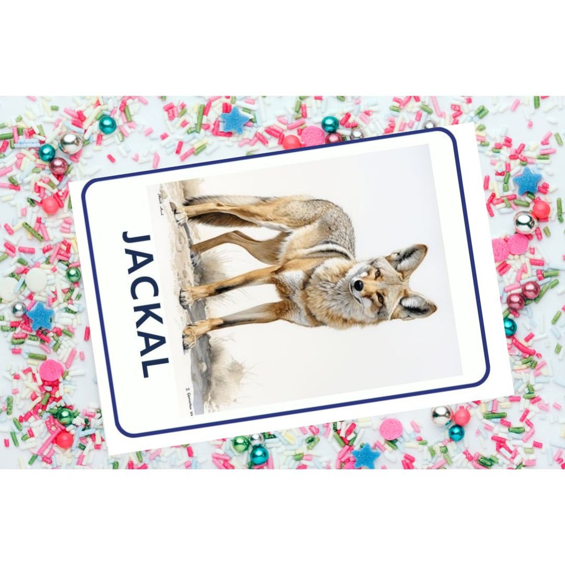 32 Woodland Animals Flashcards, Kids Printable, Nomenclature Cards ...