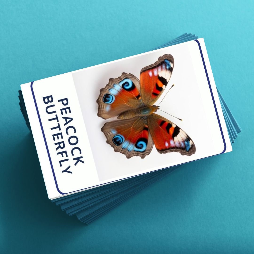 Explore Butterflies With 32 Montessori Flash Cards, Nomenclature ...