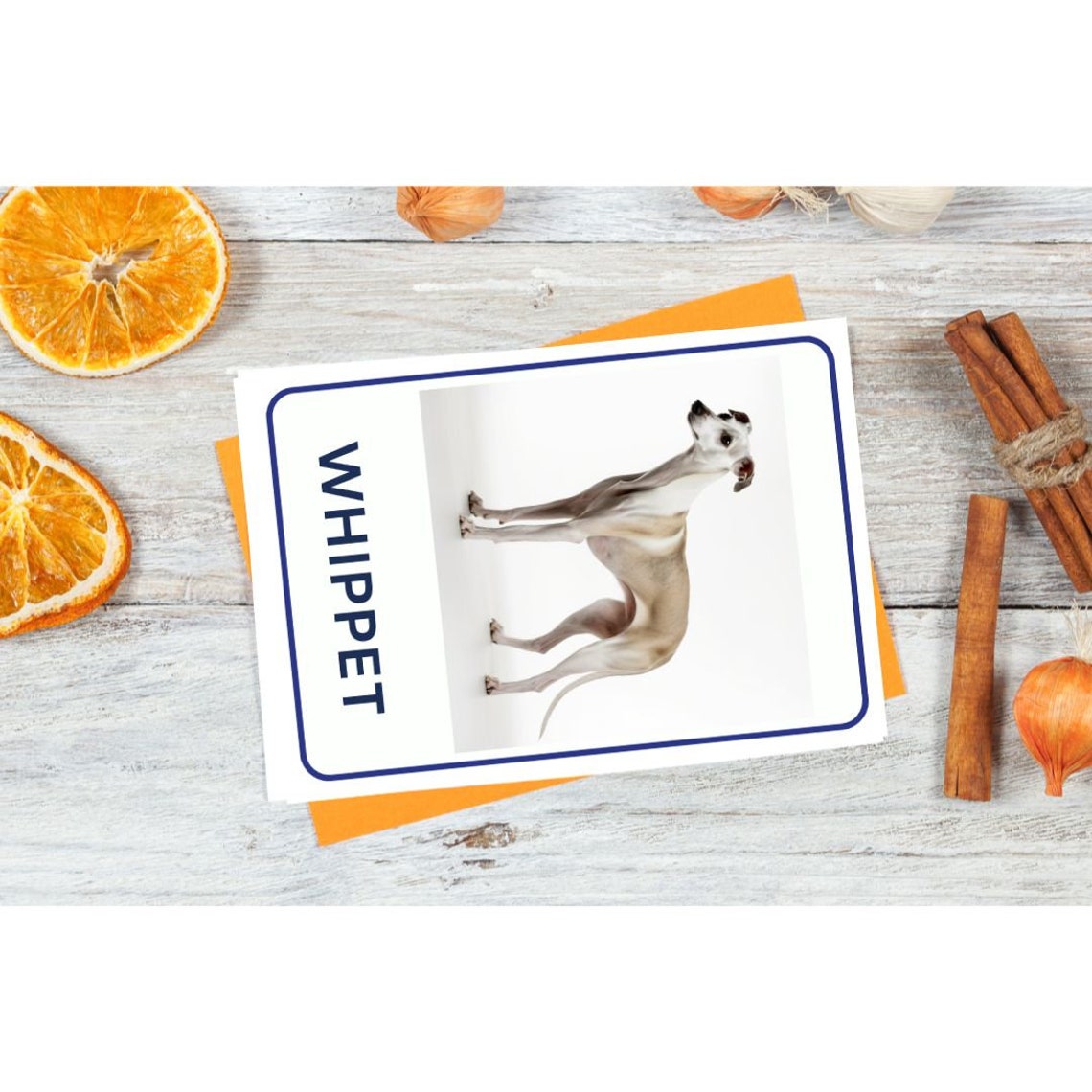 Explore Dog Breeds 32 Montessori Flashcards With Real Pictures ...