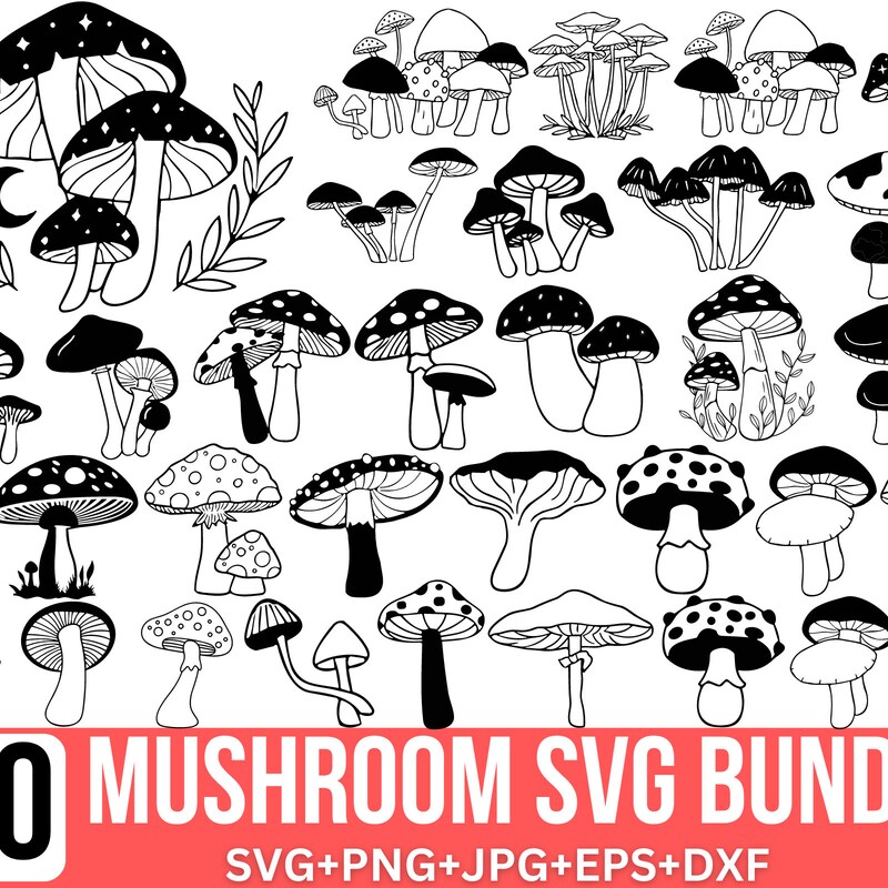 Mushroom Svg - Etsy