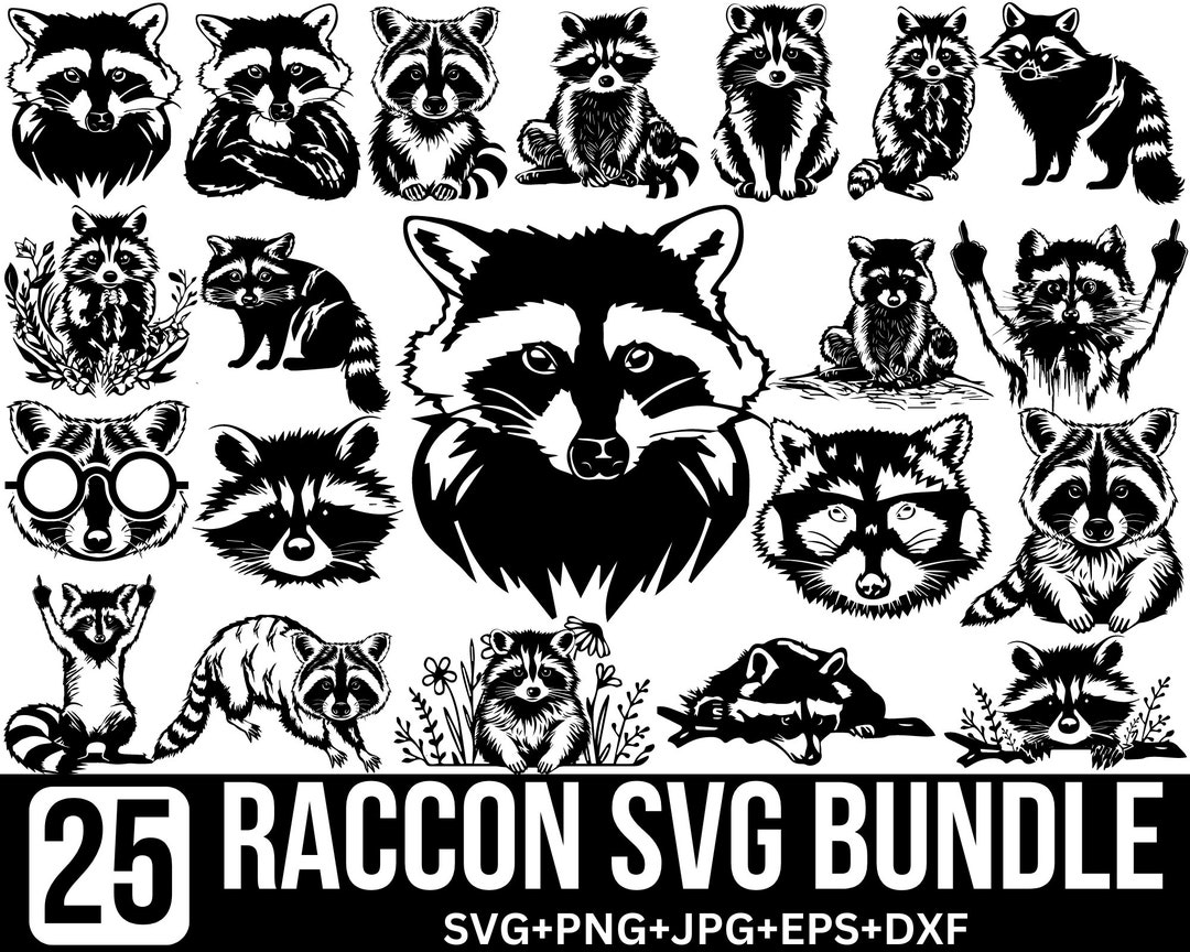 Raccoon Svg Bundle, Cute Raccoon Svg, Peeking Raccoon Svg, Raccoon Head ...