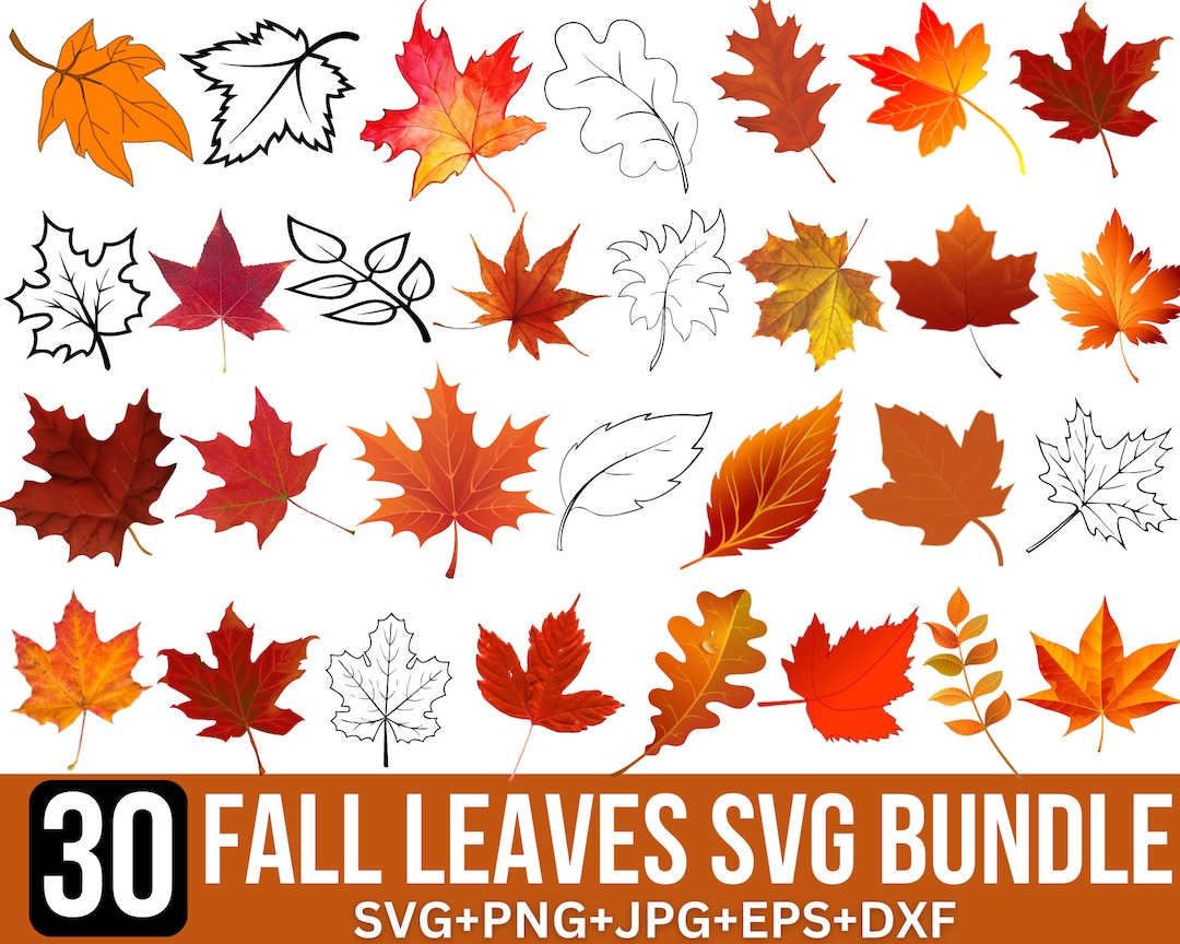 Fall Leaves Svg, Fall Svg, Hello Fall Svg, Leaf Clipart, Halloween Svg ...