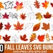 Fall Leaves Svg, Fall Svg, Hello Fall Svg, Leaf Clipart, Halloween Svg ...