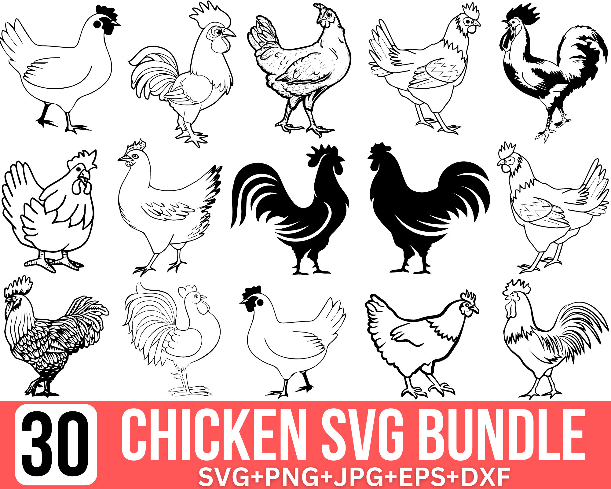 Chicken Svg Bundle, Rooster Svg, Farm Chicken Svg, Floral Chicken Svg ...