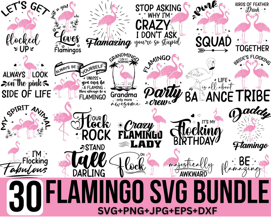 Flamingo Svg Bundle, Flamingo Quotes Svg, Flamingo Float, Summer Svg ...