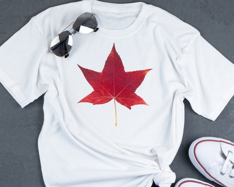 Fall Leaves Svg Fall Svg Hello Fall Svg Leaf Clipart - Etsy