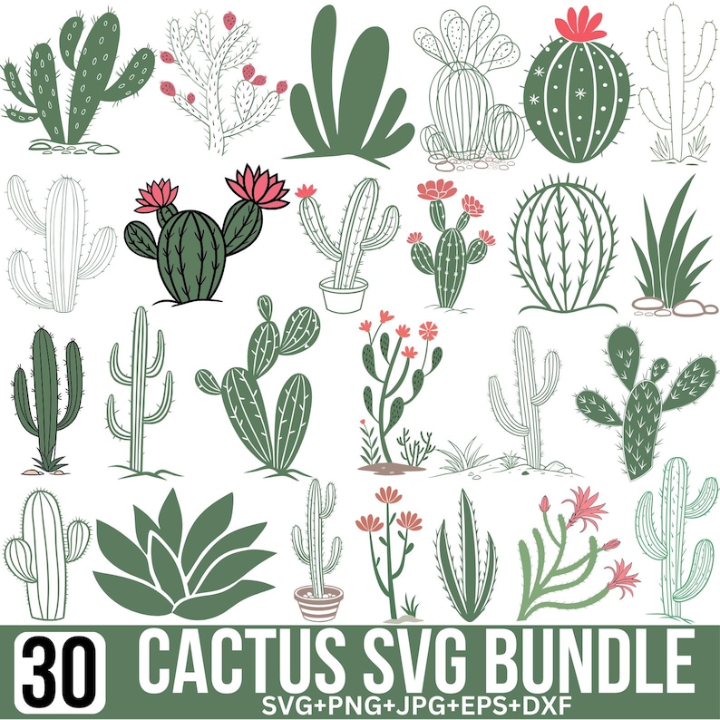 Cactus SVG PNG Bundle, Cactus Flower Svg, Cactus and Succulent Flowers ...