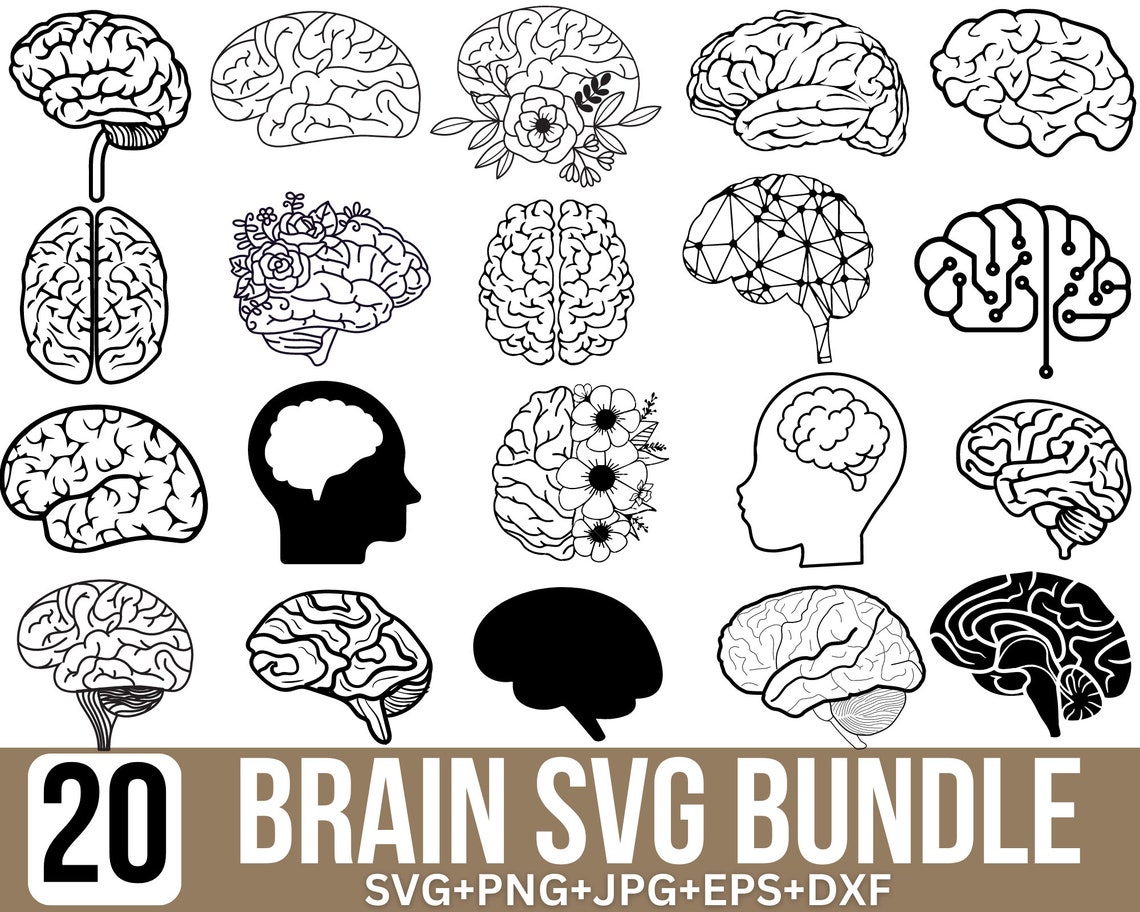 Brain SVG Bundle: Floral, Medical Svg, Flower Brain Svg, Wildflower Svg ...