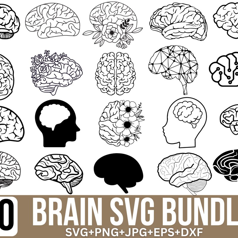 Brain Clipart - Etsy