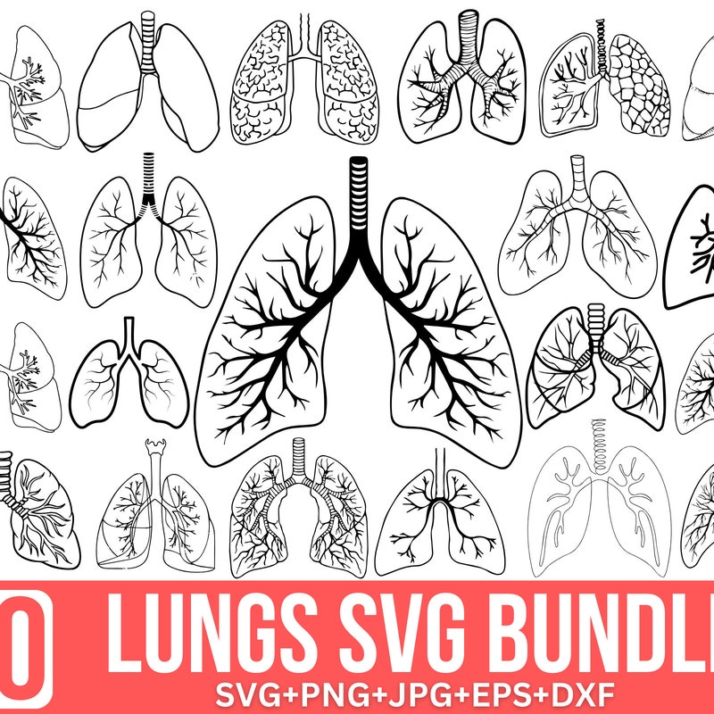 Lung Month - Etsy
