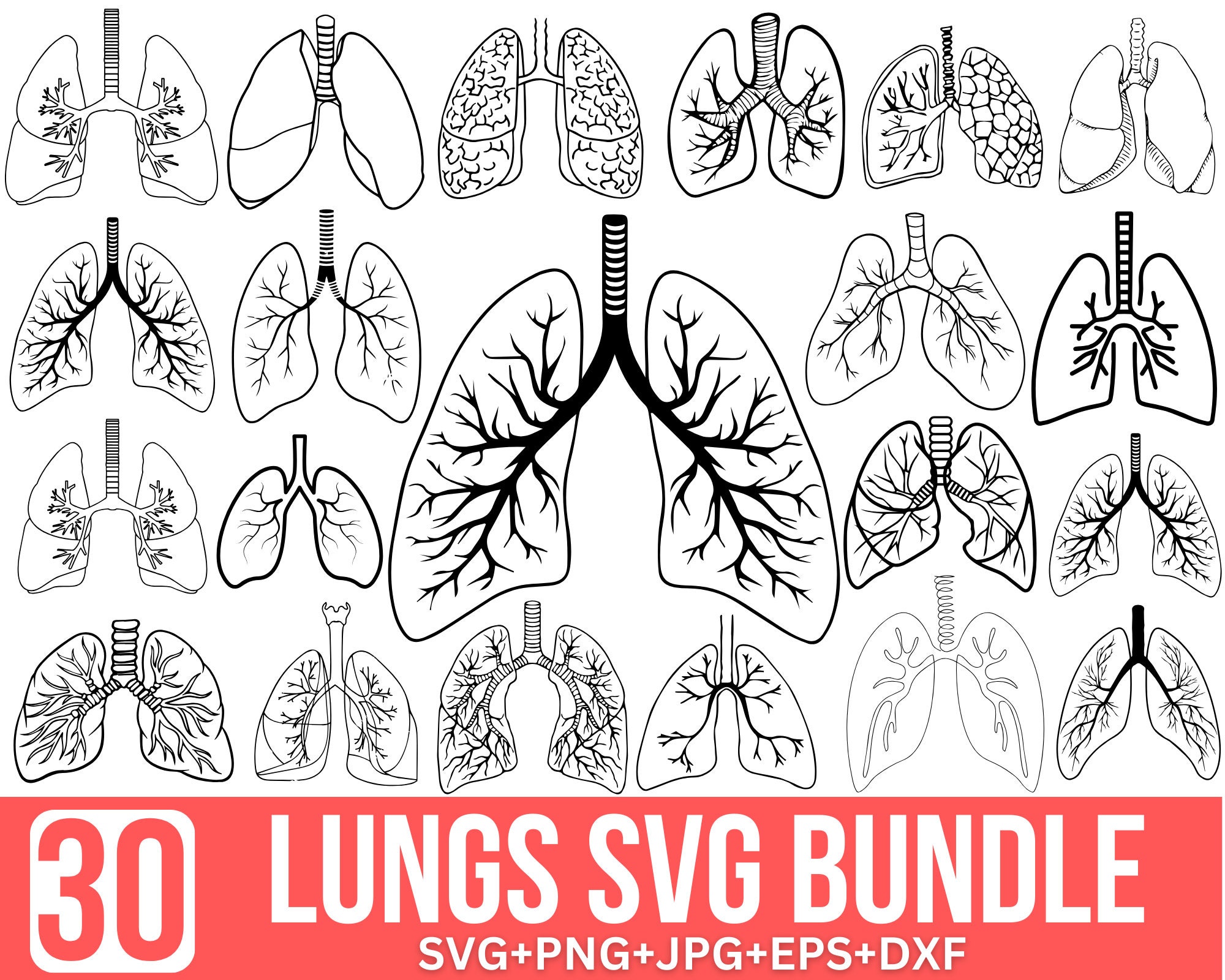 Floral Lungs SVG Bundle: Human Lung Clipart, Cricut Cut Files (digital ...