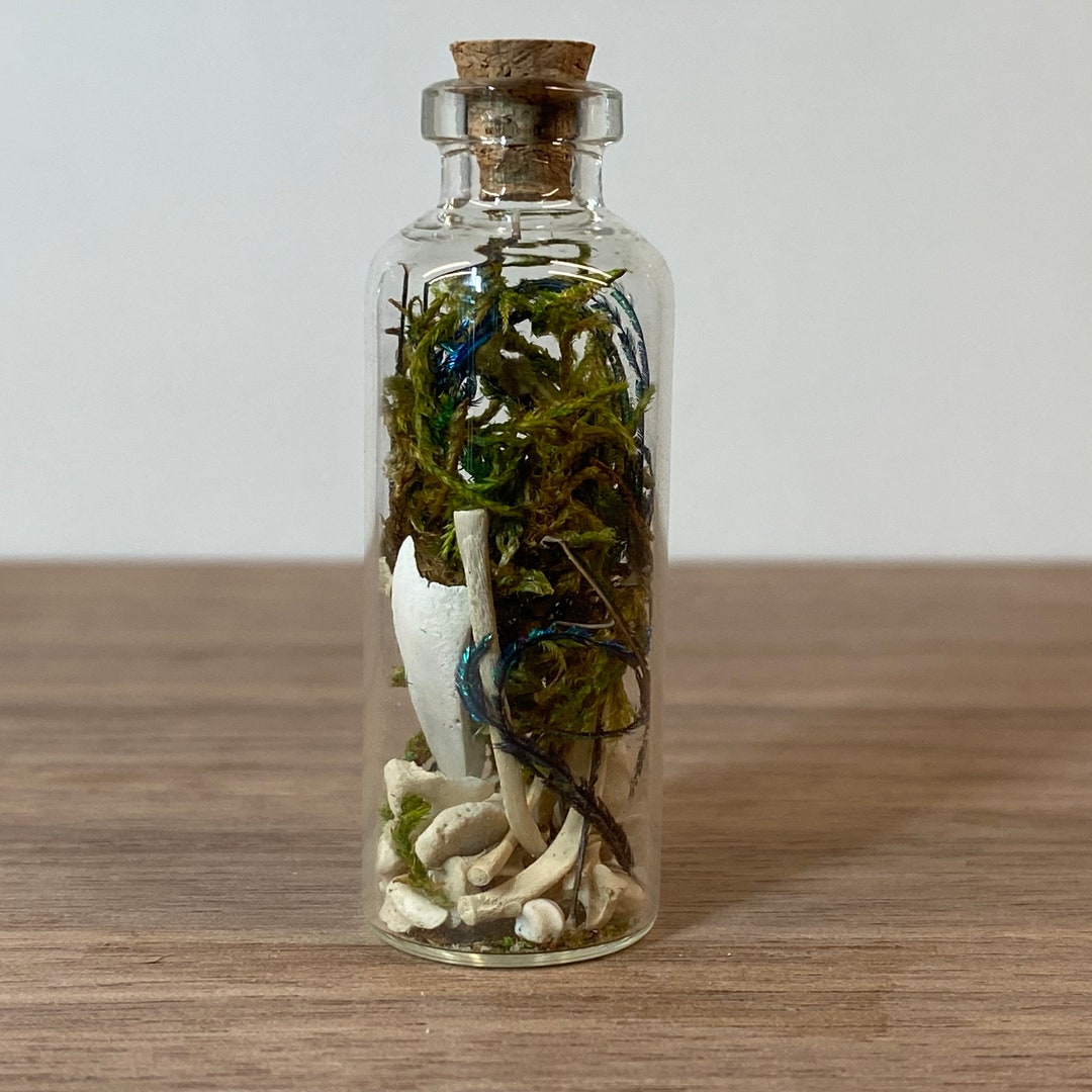 Mini Bone Bottle - Etsy