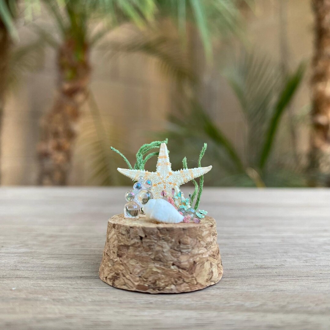 Mini Starfish Dome - Etsy