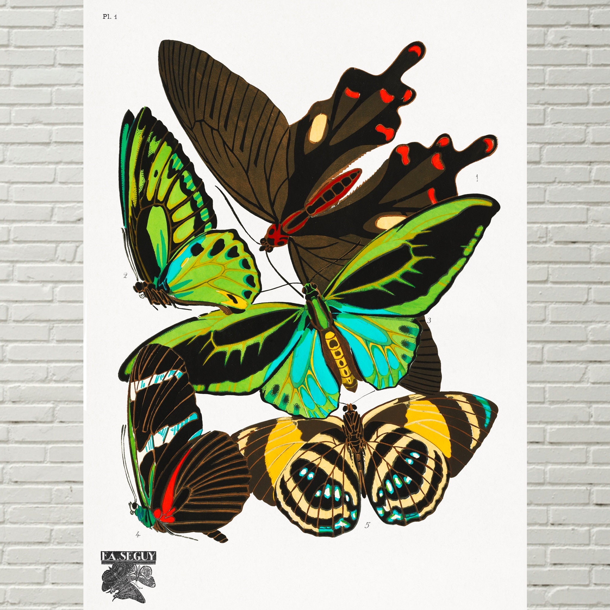 Art Deco Butterfly Poster, E. A. Seguy, Butterfly Illustrations, Art ...