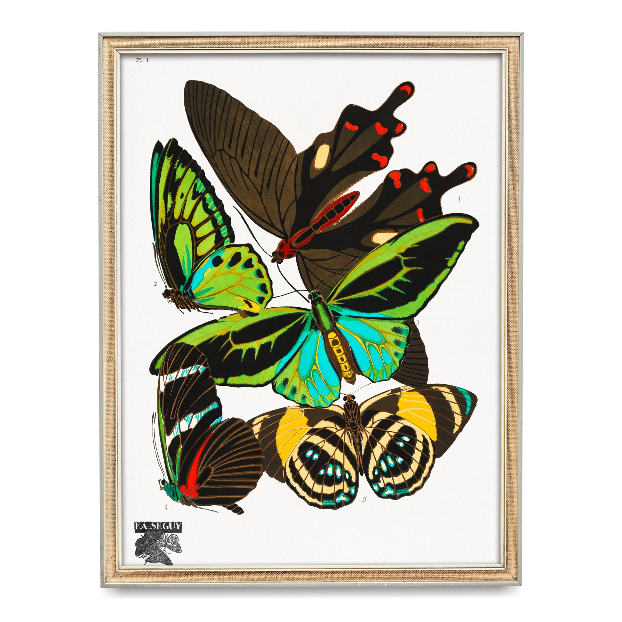 Art Deco Butterfly Poster, E. A. Seguy, Butterfly Illustrations, Art ...