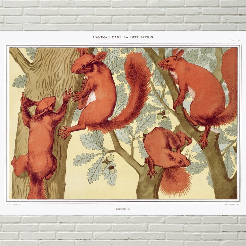 Art Nouveau Poster, Red Squirrels in Oak Trees, Arts and Crafts ...