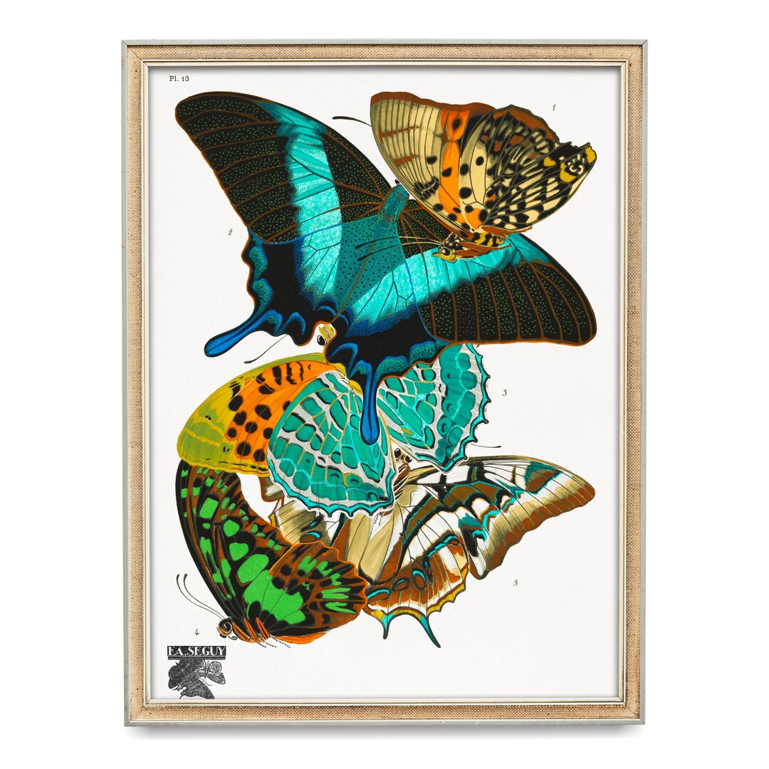 Art Deco Butterfly Poster, E. A. Seguy, Butterfly Illustrations, Art ...