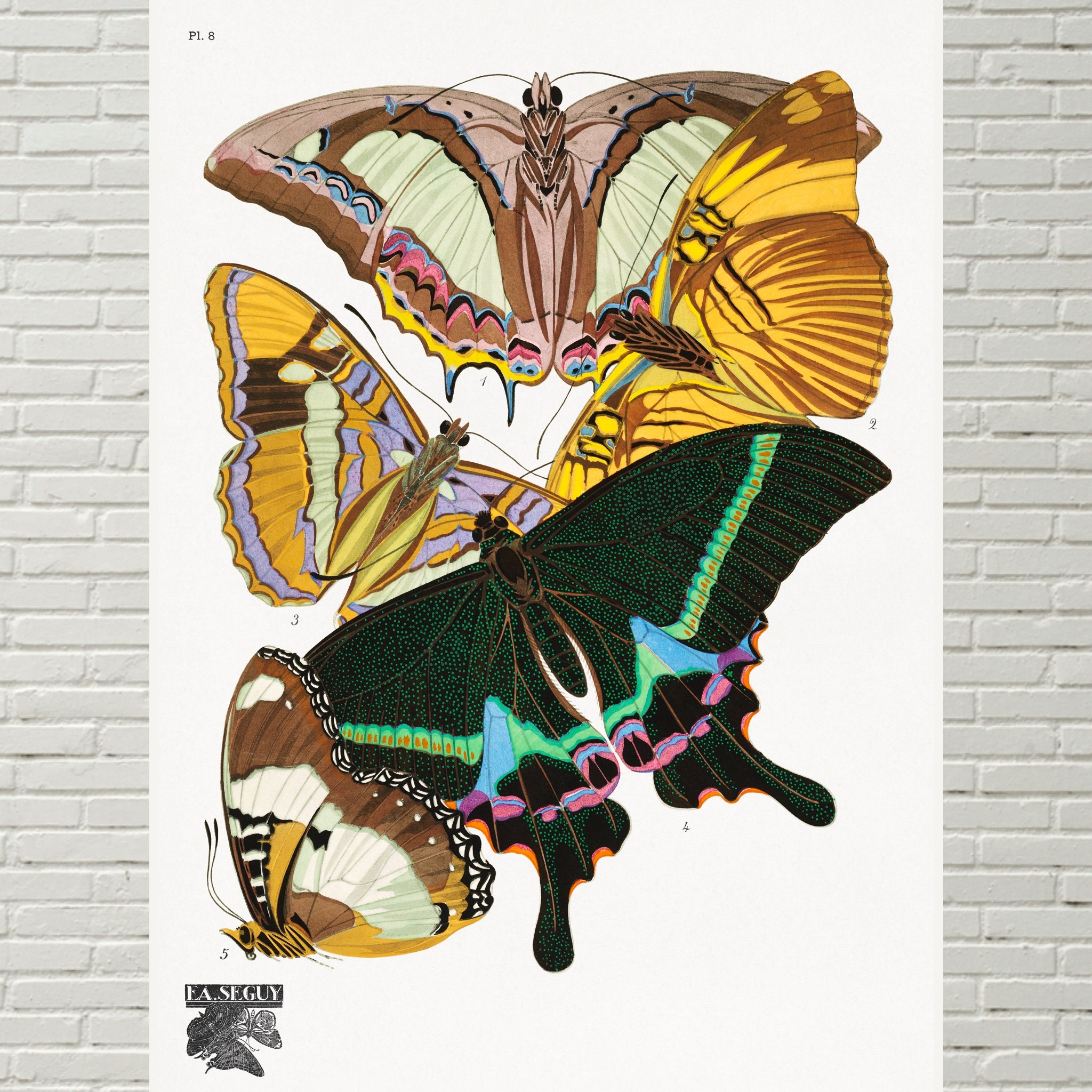 Art Deco Butterfly Poster, E. A. Seguy, Butterfly Illustrations, Art ...