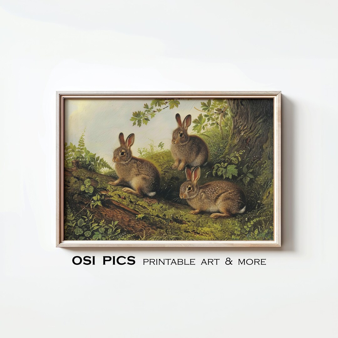 Vintage Rabbit Print | Nursery Wall Art | Bunny Rabbit Printable ...