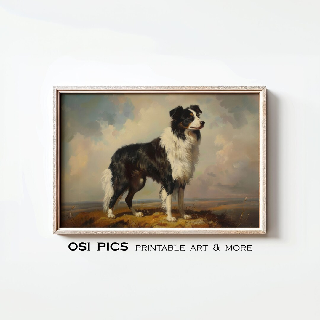 Vintage Border Collie Painting, Antique Dog Print, Collie Lover Gift ...