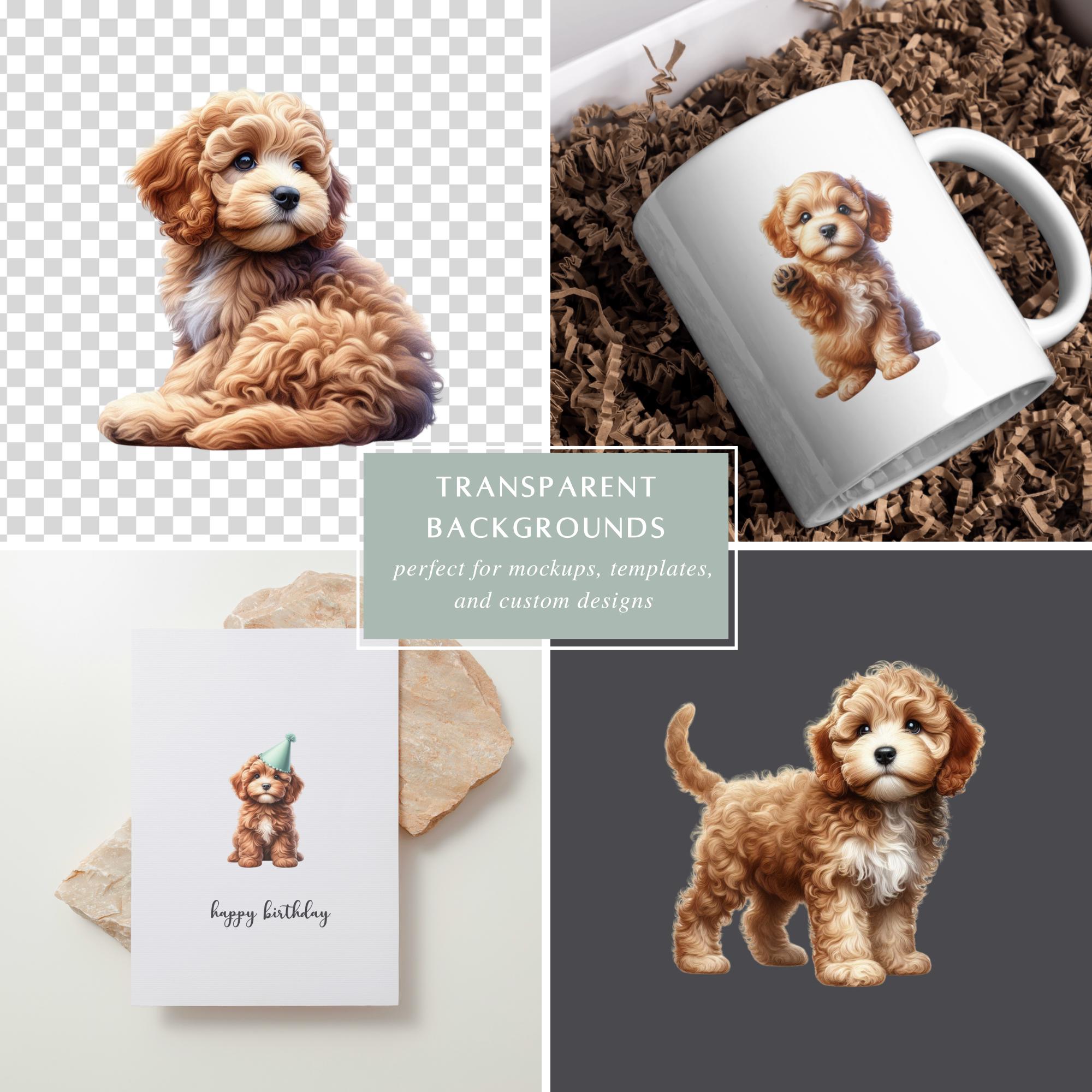 Cavoodle Clipart Set | Pet Dog Digital Stickers - Etsy