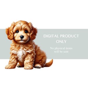 Cavoodle Clipart Set | Pet Dog Digital Stickers - Etsy