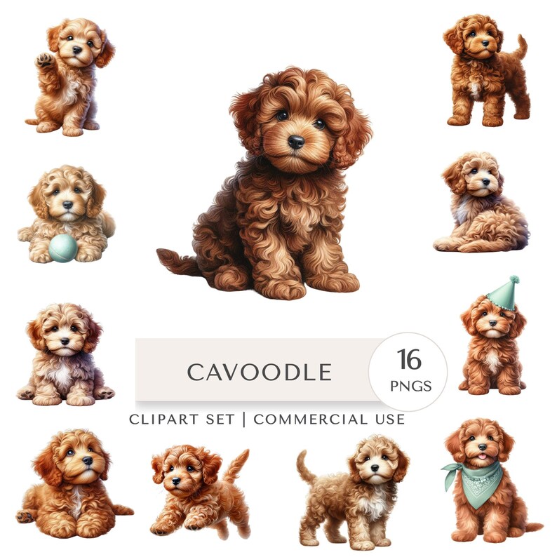 Cavoodle Clipart Set | Pet Dog Digital Stickers - Etsy Australia