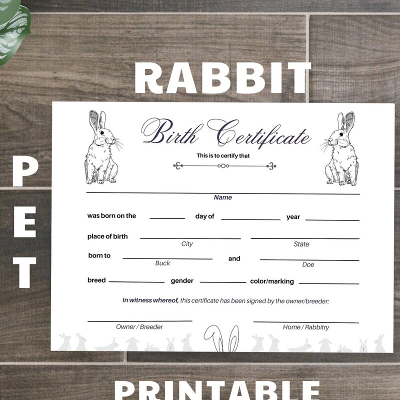 Rabbit Dog Logos - Etsy