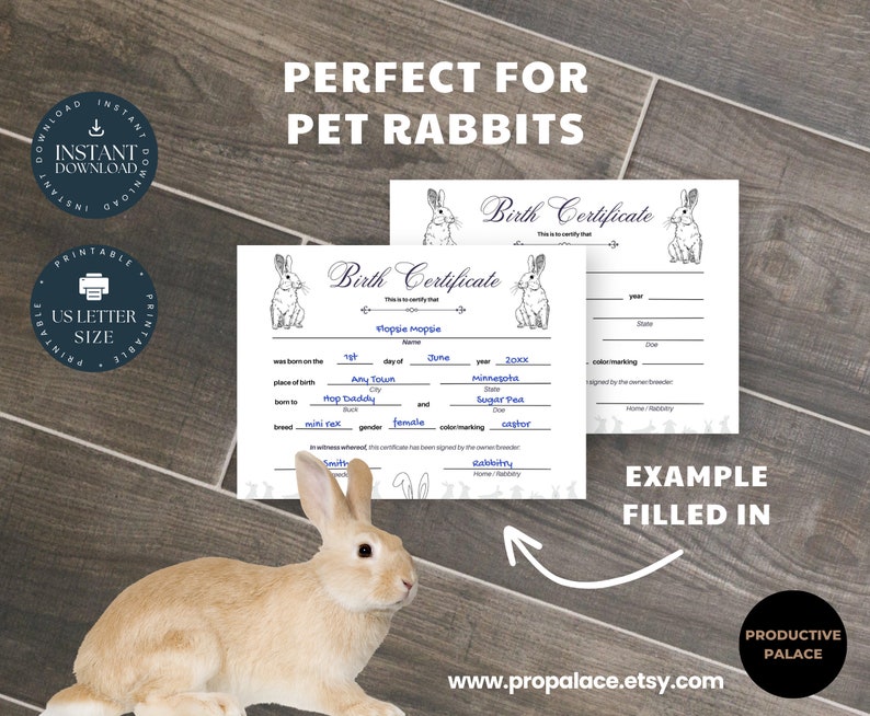 Printable * Rabbit Birth Certificate – Document Write in Birth Record ...