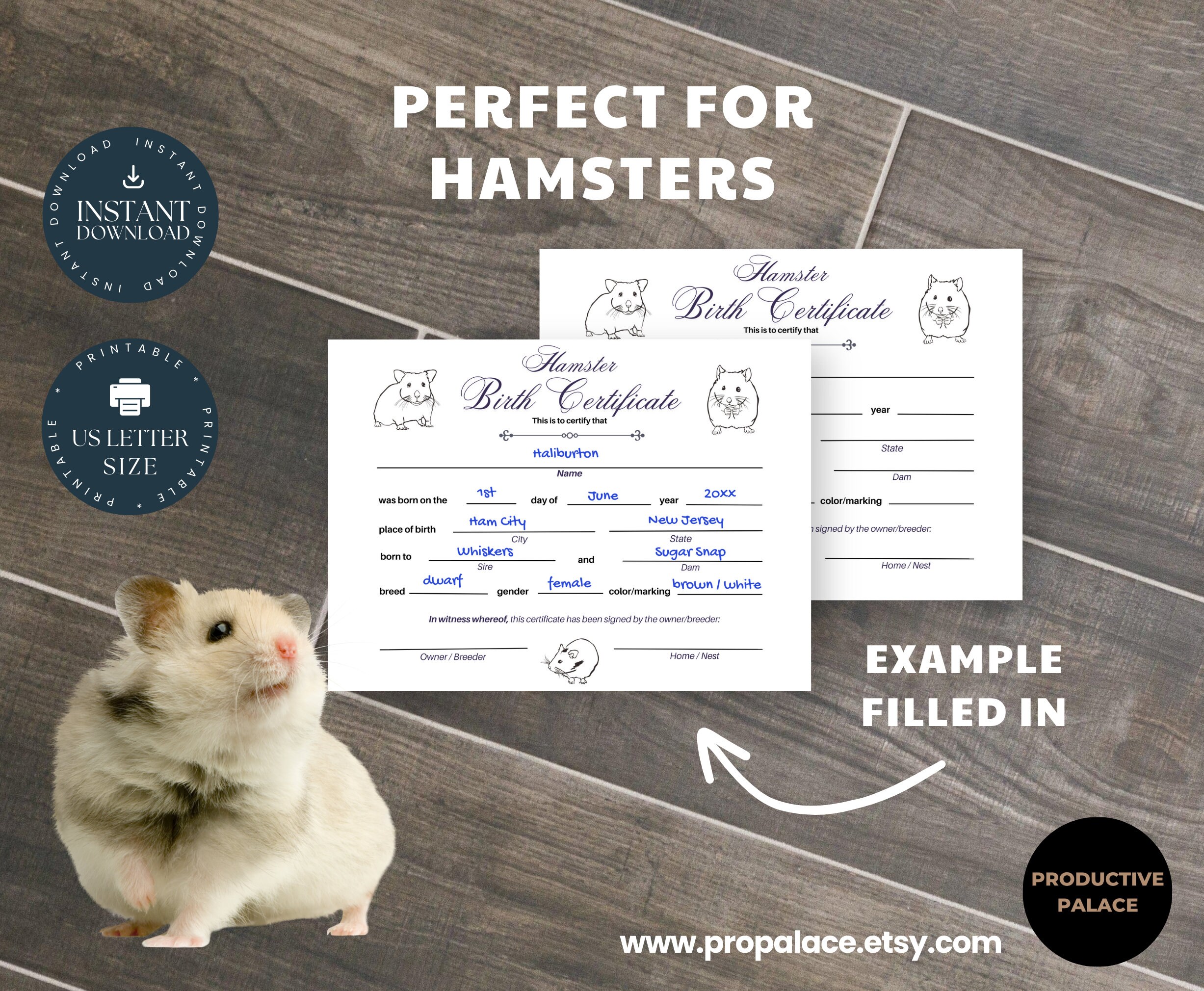 Printable * Hamster Birth Certificate – Document Write in Birth Record ...