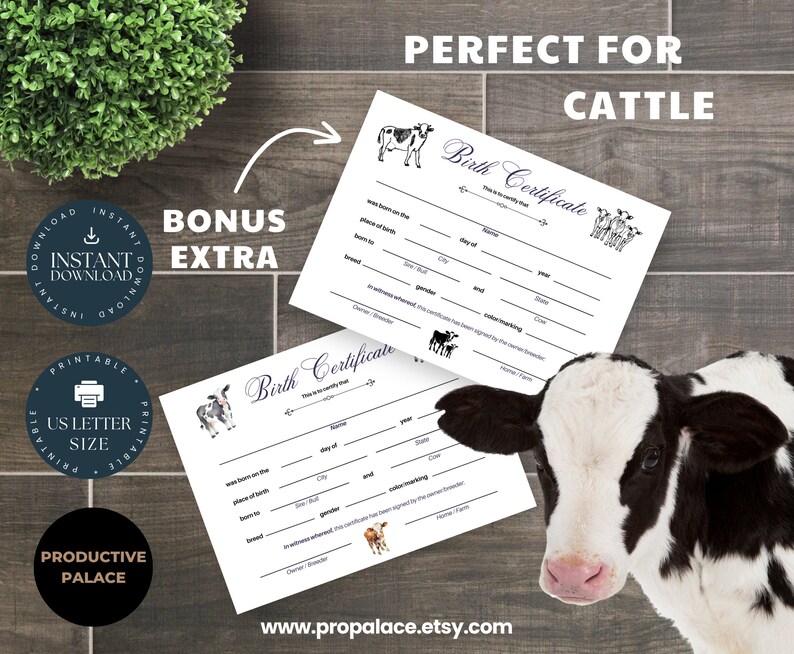 Printable * Cattle Birth Certificate – Document Birth Record, Home ...