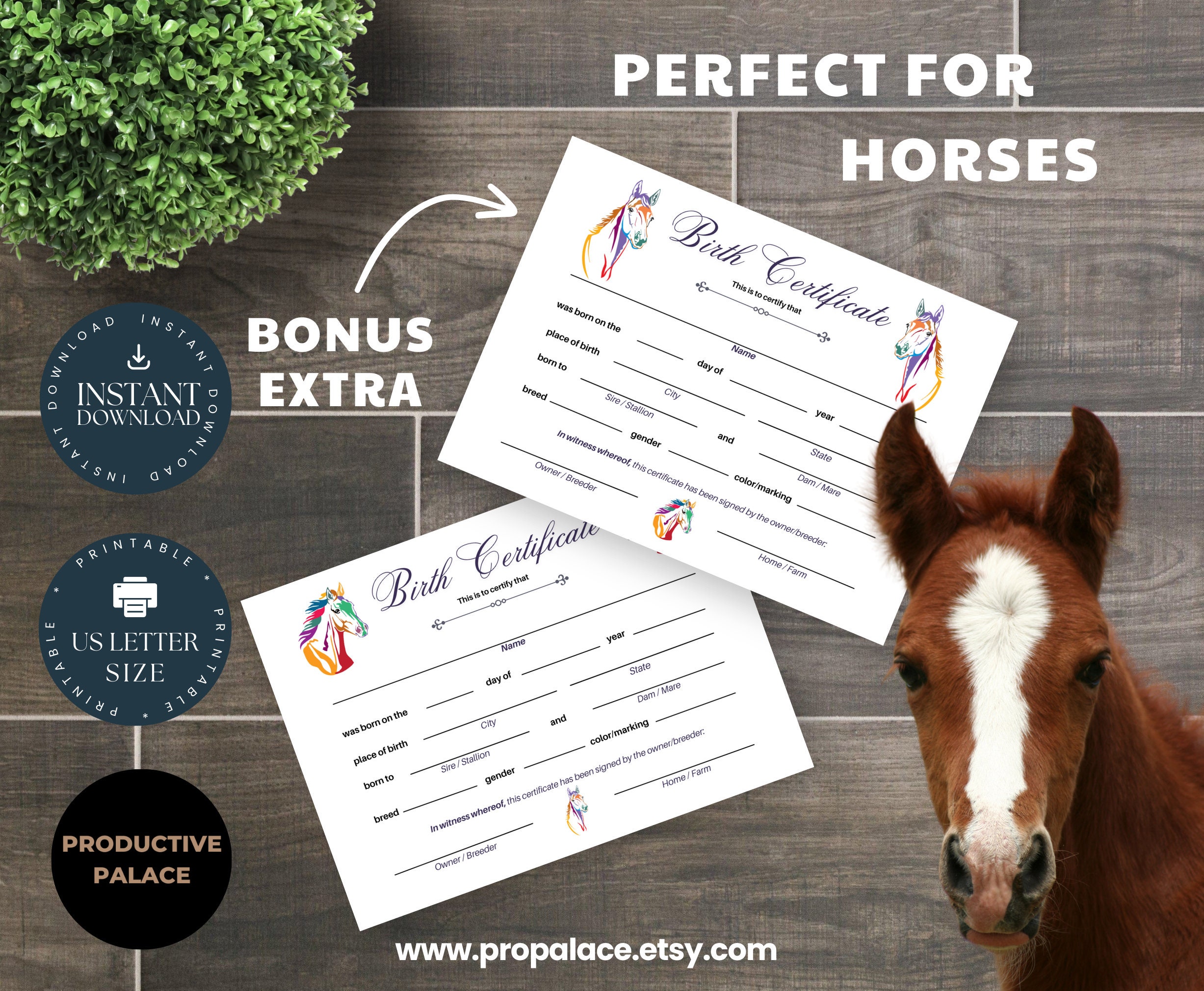 Printable * Horse Birth Certificate – Document Birth Record, Home Birth ...