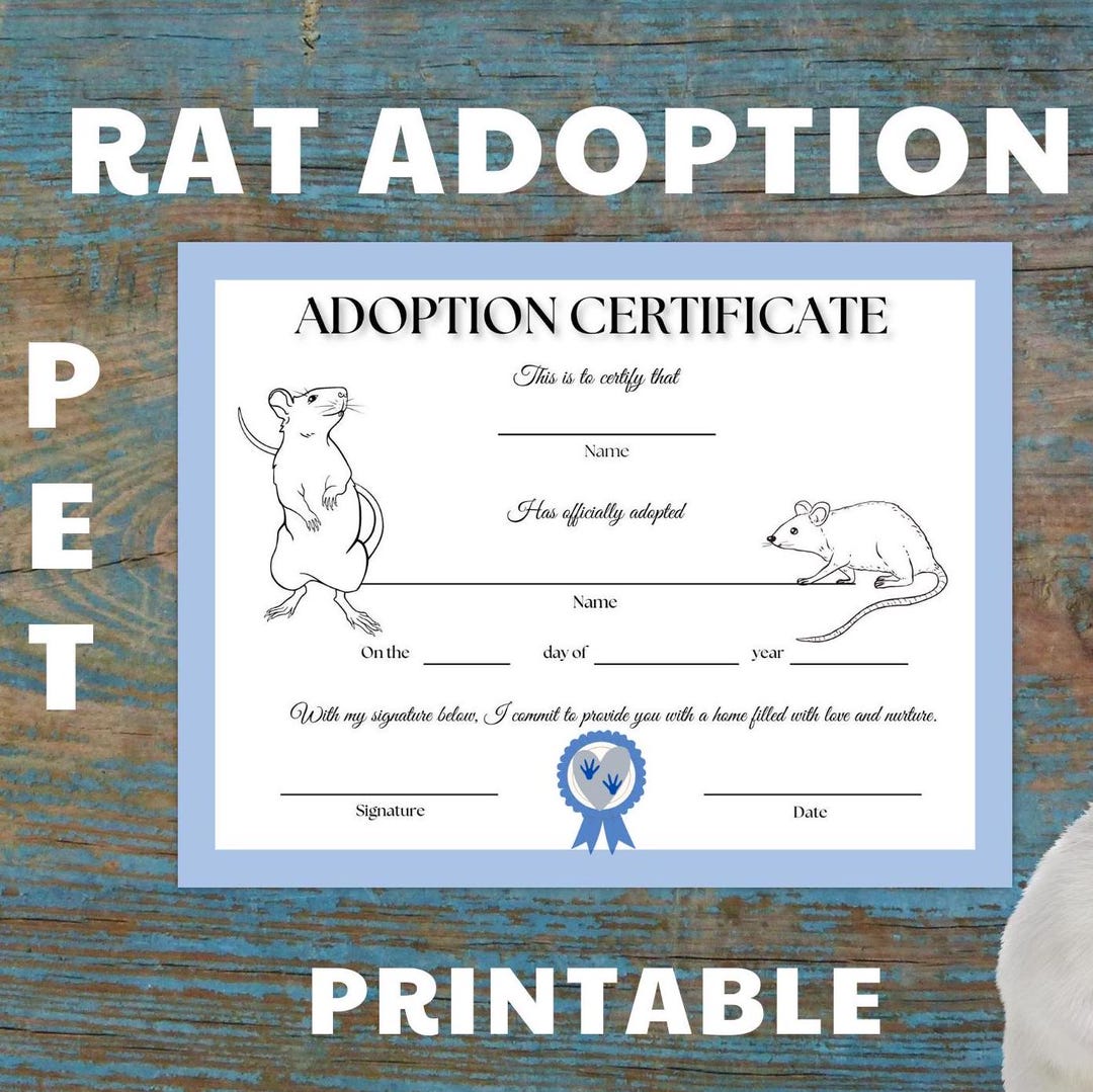 Printable * Rat Adoption Certificate – Pet Adoption Record, Domestic ...
