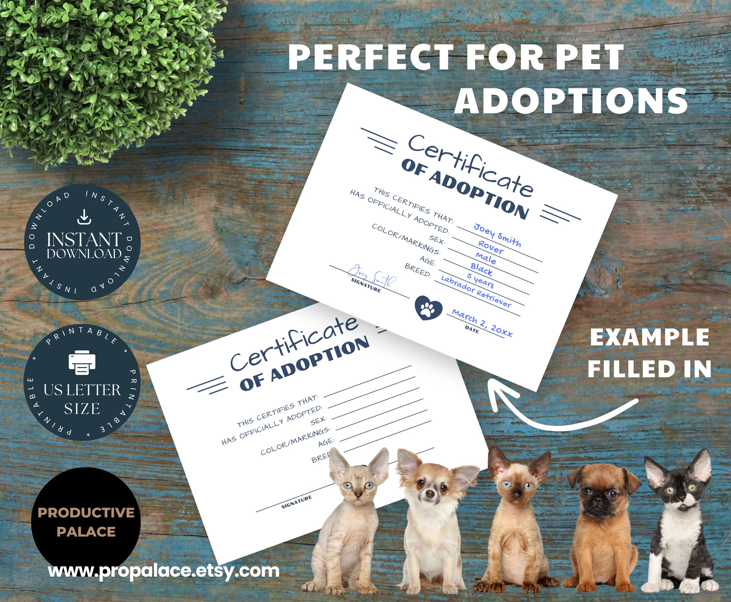 Printable * Pet Adoption Certificate – Pet Adoption Record, Dog Cat ...