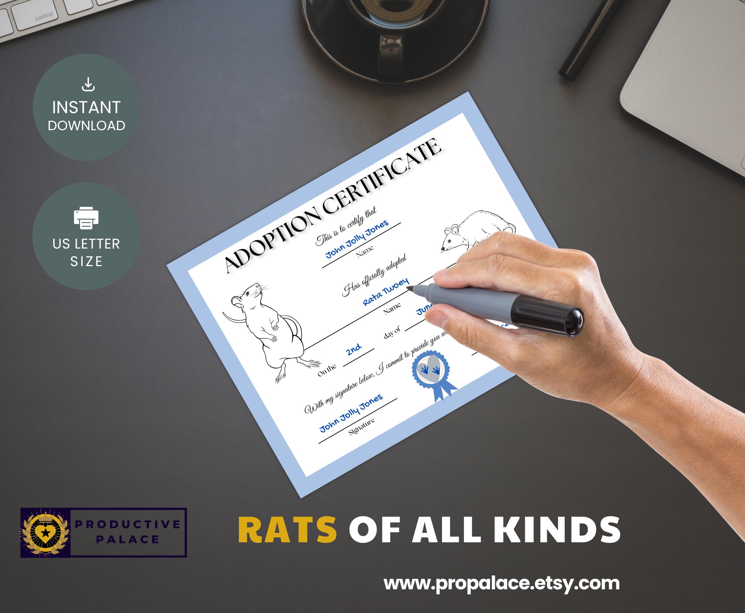 Printable * Rat Adoption Certificate – Pet Adoption Record, Domestic ...