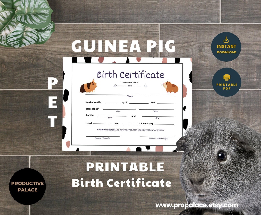Printable * Guinea Pig Birth Certificate – Document Write in Birth ...