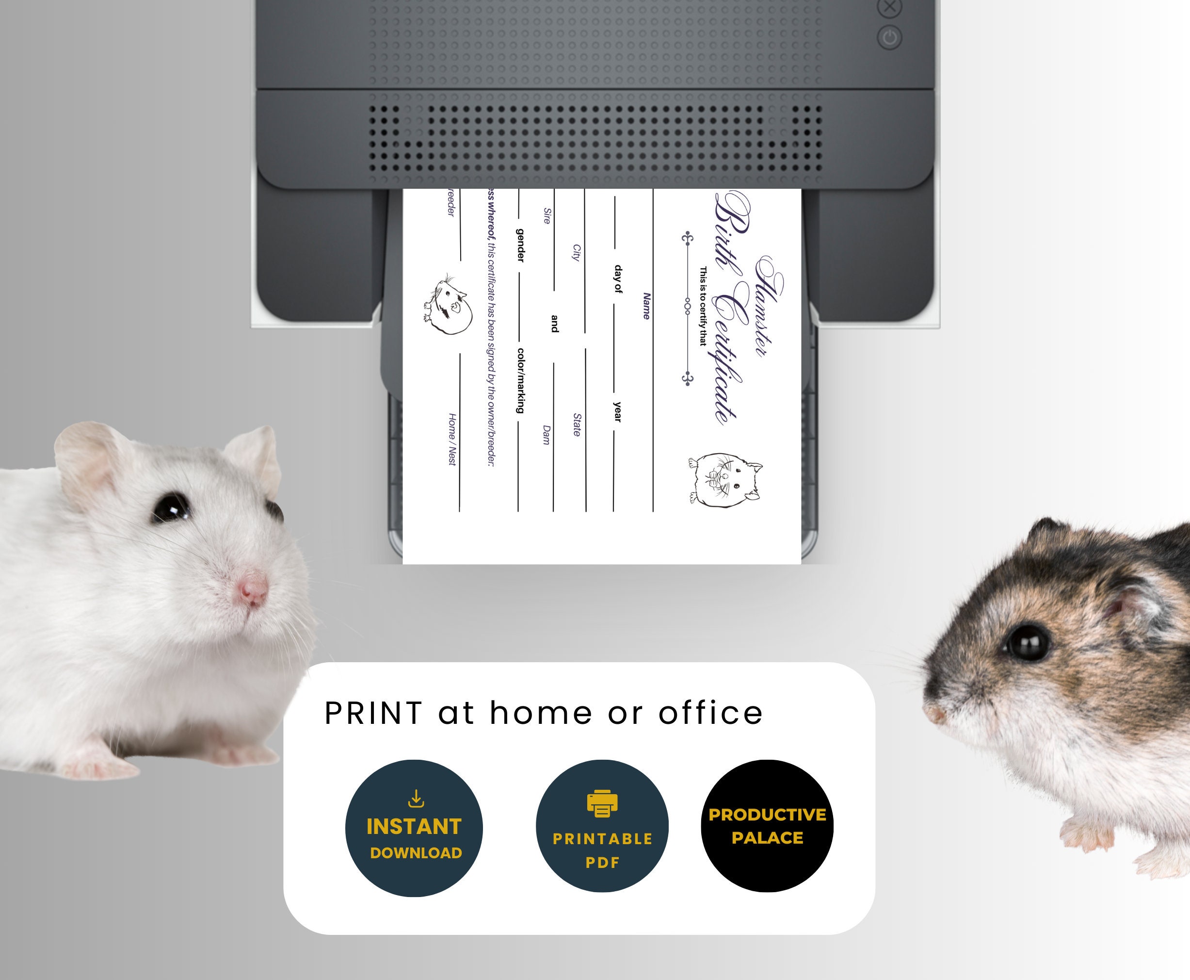 Printable * Hamster Birth Certificate – Document Write in Birth Record ...